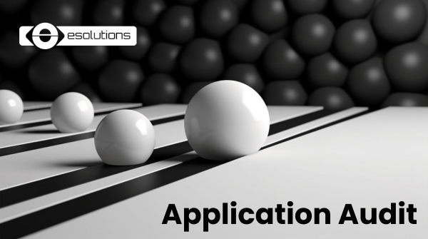 Application Audit